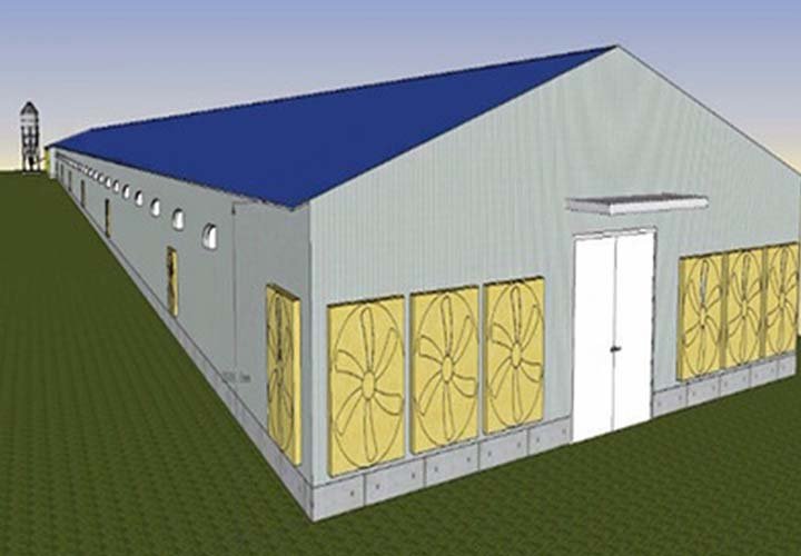 Steel Broiler House-2